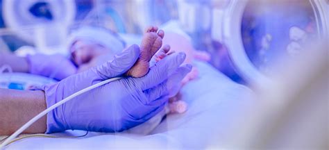 Preterm Labor And Premature Birth Key Facts And Risks
