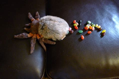 The Great Big Hairy Spider Spiderhugger