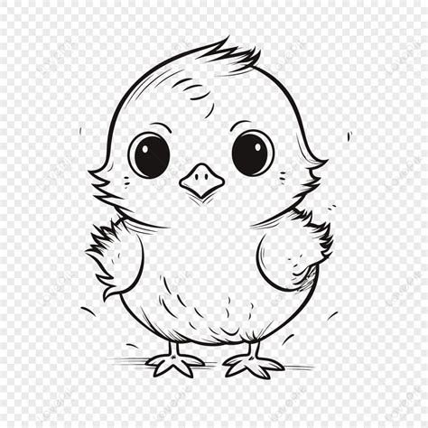 아기 닭 개요 스케치 드로잉의 흑백 그림 벡터 라인 아트 두꺼운 선 PNG 일러스트 무료 다운로드 Lovepik