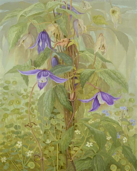 Jane Wormell Early Clematis And Euphorbia Jonathan Cooper