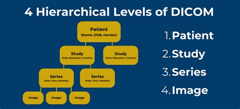The Hierarchical Levels Of DICOM
