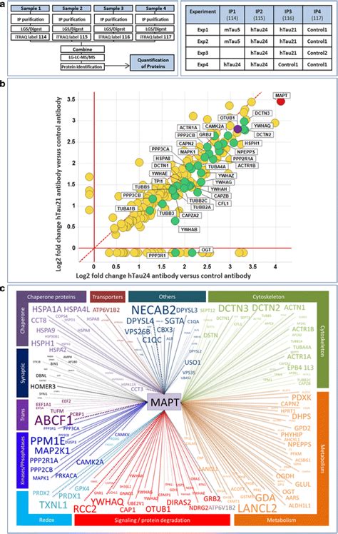 Itraq Mass Spectrometry Based Tau Interactome Mapping In Mouse Brain Download Scientific