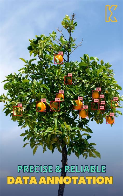 Reliable Data Annotation Services For Agriculture Kotwel