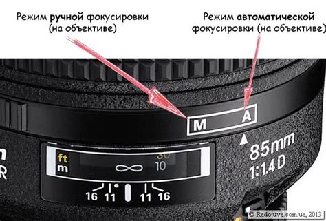 Режимы фокусировки на Nikon. Настройка фокусировки на камерах Nikon ...