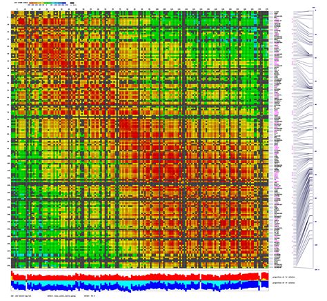 Genetic Map Matrix Plot Genetic Map Matrix Plot