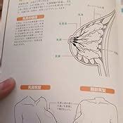 How To Draw Sexy Girls Illustration Book Genkosha 9784768307465 Amazon Com Books