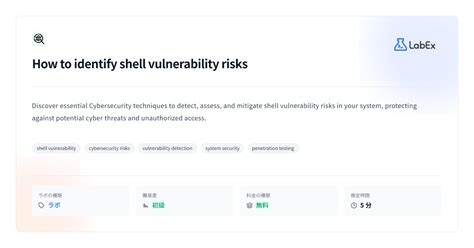 シェル脆弱性リスクの識別方法 Labex
