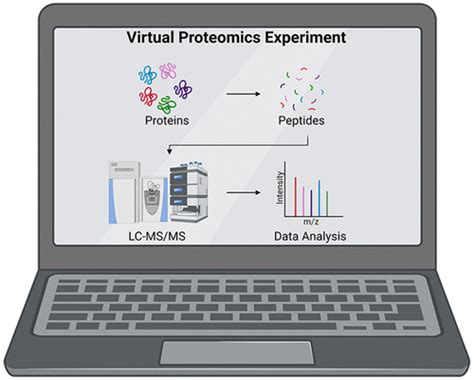 News In Proteomics Research Incorporation Of A Virtual Proteomics Experiment Into Undergraduate