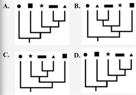 Practice Exam 2 And Lecture Quizzes Bio 201 Flashcards Quizlet