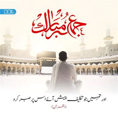 Dynamite Digital Institute Of Science And Technology Sahiwal