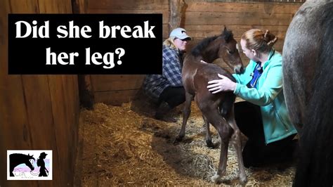 Did She Break Her Leg Youtube