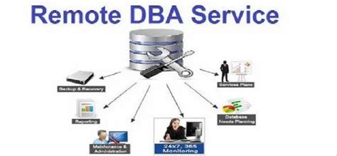 remote database administration service at rs 8000 year in bhayandar