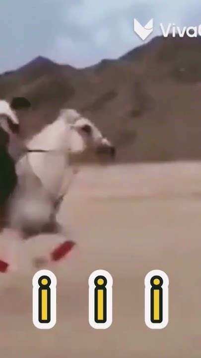 I Am A Rider🚨🚨أنا فارس Youtube