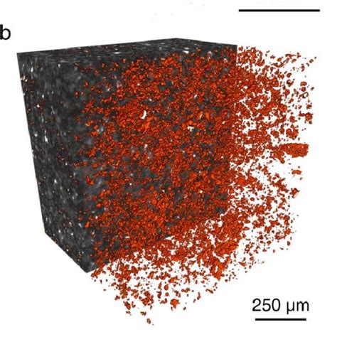 Multiscale 3 D Pore Structure Models A Core Model From Micro Ct With Download Scientific