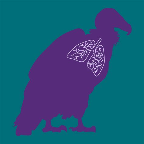 The Evolution And History Of Sex Toys Ellaone®