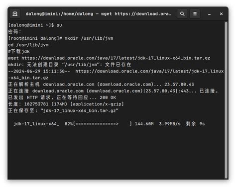 Linux Debian Jdk Lwlnice