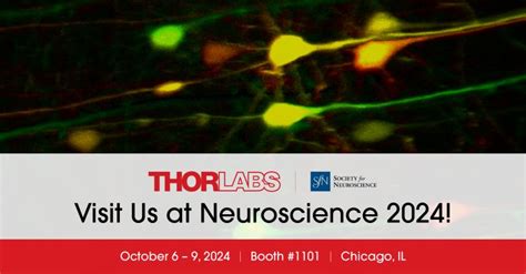 Thorlabs On Linkedin Neuroscience2024 Photonics Neuroscience Ns24 Imaging Thorlabs