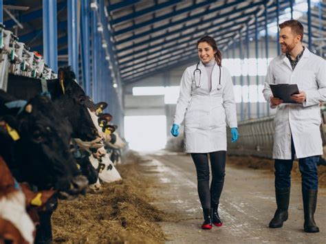 navigating dairy industry trends with navfarm and microsoft s d365