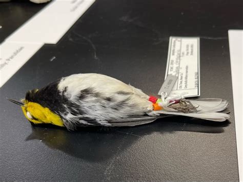 Eccb 402 Lab Exam 4 Flashcards Quizlet