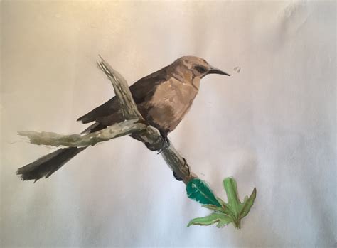 Art Gallery Armaan Priyadarshan