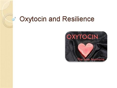 Oxytocin And Resilience Oxytocin The Love Hormone Trust
