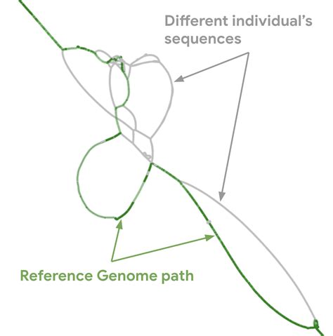 Building Better Pangenomes To Improve The Equity Of Genomics