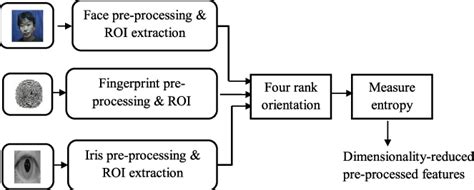 Block Diagram Of Four Rank Contourlet Transform Model Download Scientific Diagram