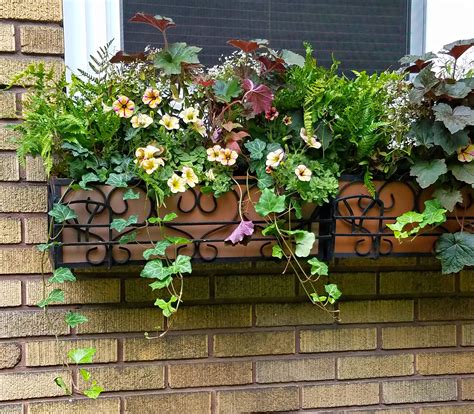 Window Box Planting Ideas Flowers