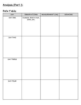 Osmosis Diffusion Lab By Smith Science And Lit TpT