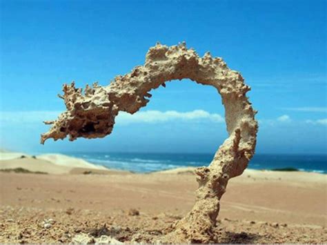 This Is What Happens When Sand Gets Struck By Lightning Fulgurites Are