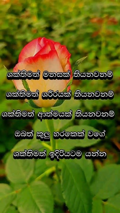 ඔබ සතුව තියන ගුනාංග ඔබ අගය කරන්න 🌠 🙏🌌 Sinhala Motivation Sinhalapositivethinking Youtube
