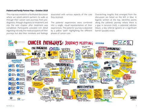 Journey Mapping Cancer Interactivepdf