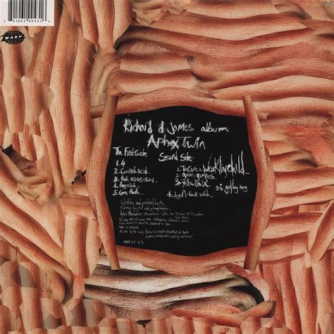 Aphex Twin Richard D James Album Vinyl Lp 1995 Uk Reissue Hhv