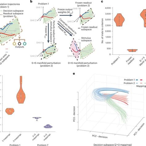 Xiao Jing Wang New York University Ny Nyu Research Profile