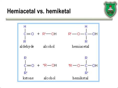 Ppt Macromolecules And Carbohydrates Powerpoint Presentation Id945923