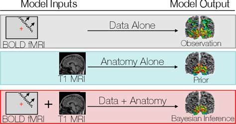 Figure 1 From Individual Differences In Human Retinotopic Maps Revealed By Bayesian Analysis Of