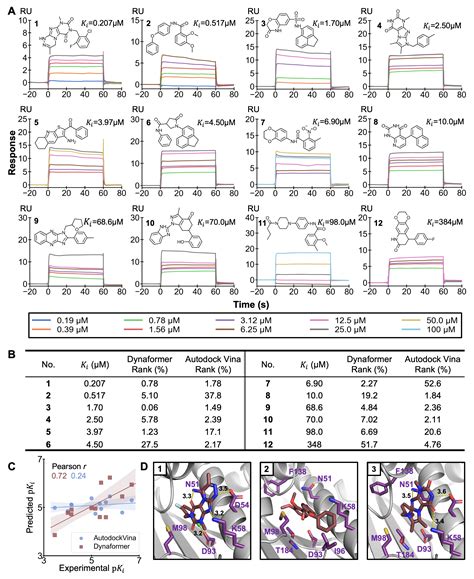 220810230 From Static To Dynamic Structures Improving Binding Affinity Prediction With A
