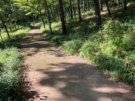 開花情報9月14日 国営昭和記念公園公式ホームページ