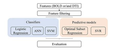 Framework Of Classifiers And Predictive Models The Dashed Line Download Scientific Diagram