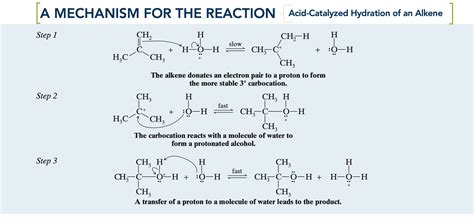 Organic Chemistry Why O H Bond And Not C O Bond Breaks In Acid