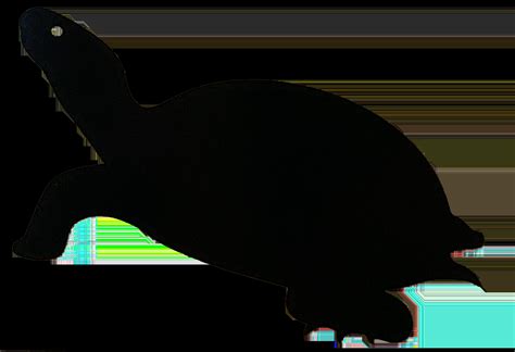 How To Build A Nest Protector — Turtles Kingston