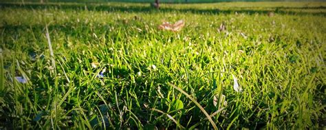 Эрүүл байгаль орчин