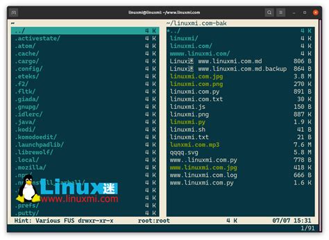 Vifm Vi 风格的命令行文件浏览器 Linux迷