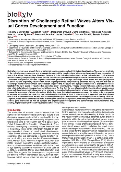 Pdf Disruption Of Cholinergic Retinal Waves Alters Visual Cortex Development And Function