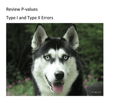 Review P Values Type I And Type II Errors