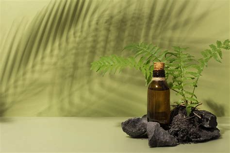 Moringa Oil Benefits Side Effects And Uses Welzo