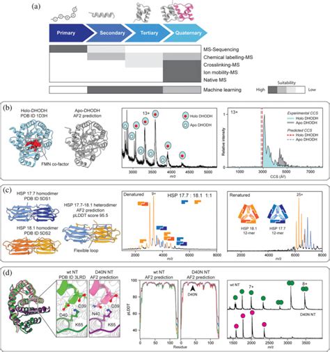 complementing machine learning based structure predictions with native mass spectrometry
