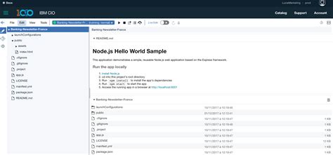 Bluemix Issue Cant See Any Files In A Cloud Foundry Apps Stack