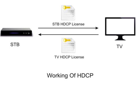 What Does HDCP Not Supported Mean Pointer Clicker