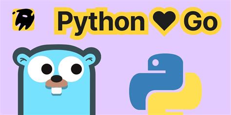 How To Call Go Code In Python Accelerate Python With Go Dev Community
